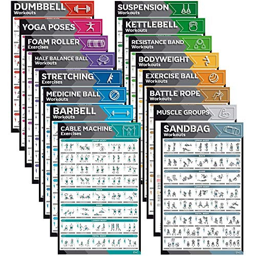 16-Pack Laminated Large Workout Poster Set - Perfect Workout Posters ...