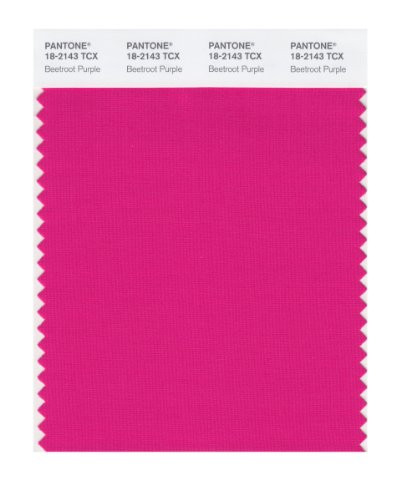 PANTONE Smart 18-2143X Color Swatch Card- Beetroot Purple ...