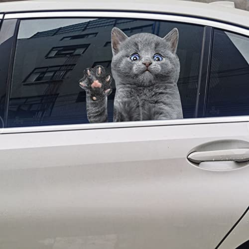Cat car Window StickersFunny car Stickerscar Window Decalscar ...
