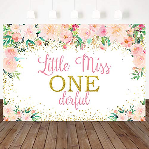 Mocsicka Little Miss Onederful Backdrop Girls First Birthday Pink ...