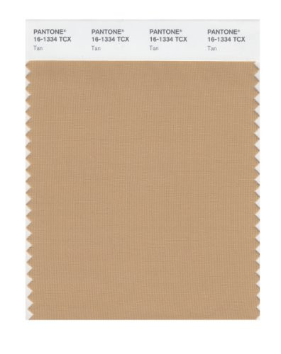 PANTONE Smart 16-1334X Color Swatch Card Tan - Warehousesoverstock