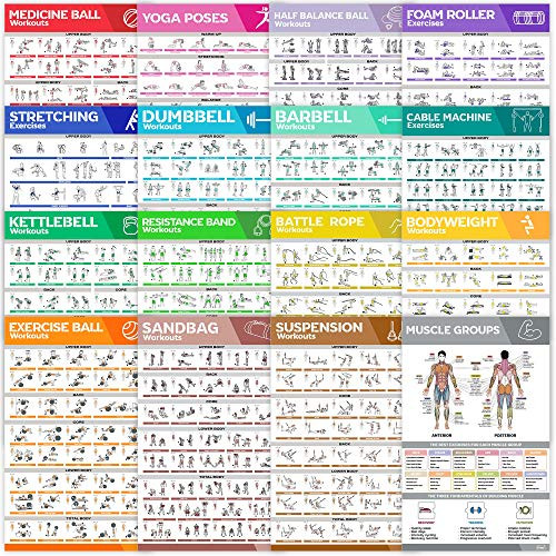 [16-PACK] Laminated Large Workout Poster Set - Perfect Workout Posters ...