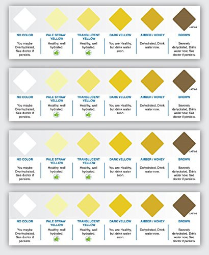 4 Urine Color Chart Stickers 7 x 2 helps monitor urine pee color to ...