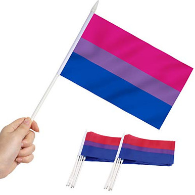 Anley Bisexual Pride Mini Flag 12 Pack - Hand Held Small Miniature Bi ...