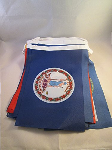 AZ FLAG 50 States of US 39 95 Meters Bunting Flag 15 Flags 9 x 6 ...