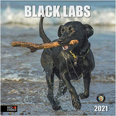 Black Labrador Retrievers - 2021 Wall Calendars by Red Ember Press - 12 ...