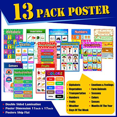 Educational Posters for Kids and Toddlers Pack of 13 Large Laminated ...