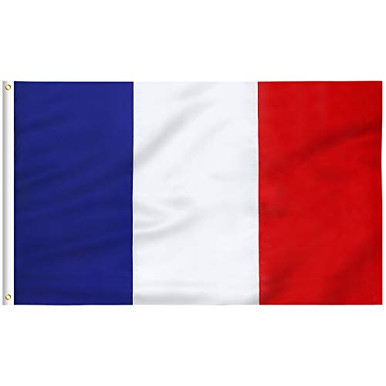 FLAGBURG France Flag 5x8 FT French Flag with Print Vivid Color and UV ...