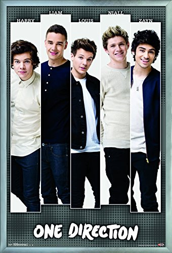 Trends International 1D-Bars Wall Poster, 24.25" X 35.75", Multi ...