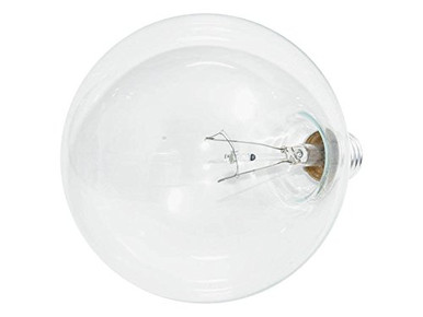 Philips 60w 120v G40 DuraMax Clear E26 Decorative Incandescent Light ...