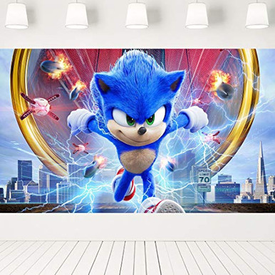 Sonic The Hedgehog Party Supplies Photography Backdrops for Birthday ...