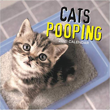 2021 Wall Calendar - Cats Pooping 12 x 12 Inch Monthly View 16-Month ...