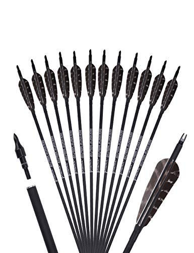 PANDARUS Archery 31-Inch Carbon Hunting Arrows Turkey Feather Fletching ...