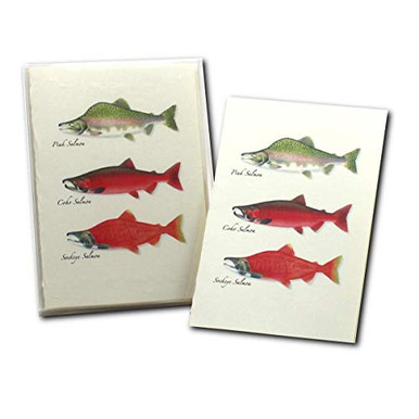 Earth Sky - Water - Salmon Trio Notecard Set - 8 Blank Cards with ...