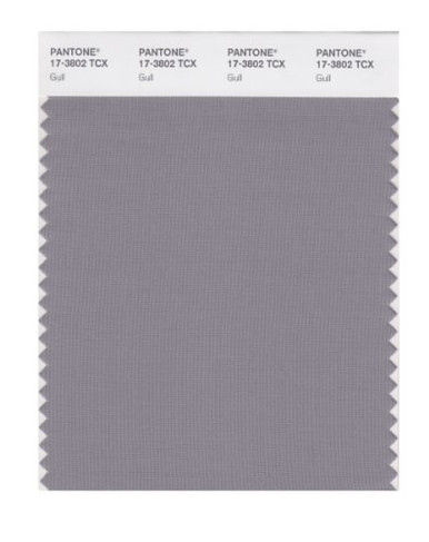 PANTONE Smart 17-3802X Color Swatch Card Gull - Warehousesoverstock