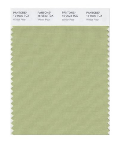 PANTONE Smart 15-0523X Color Swatch Card Winter Pear - Warehousesoverstock
