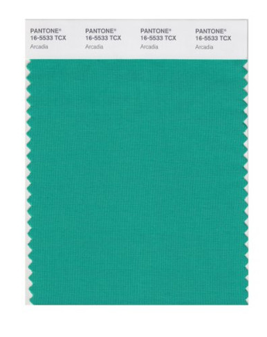 PANTONE Smart 16-5533X Color Swatch Card Arcadia - Warehousesoverstock
