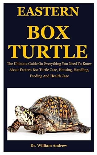 Eastern Box Turtle The Ultimate Guide On Everything You Need To Know ...