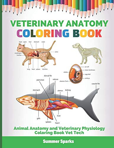 Veterinary Anatomy Coloring Book Animal Anatomy and Veterinary ...