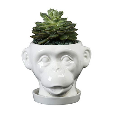 Gemseek Ape Head Succulent Planter Pot with Drainage Tray White Ceramic ...