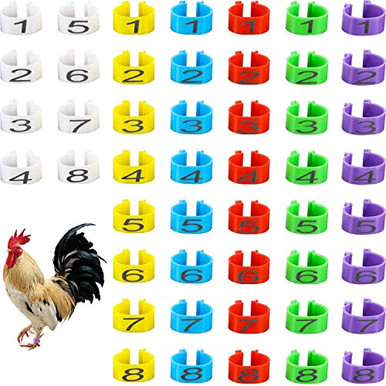 48 Pieces Chicken Leg Rings Multiple Colour Chicken Identification Leg ...