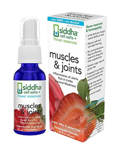 Siddha Remedies Muscles Joints Spray for Sore Muscles Joint ...