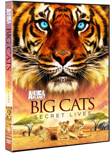 Big Cats Secret Lives - Warehousesoverstock