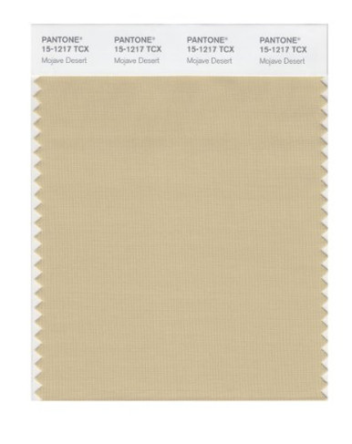 PANTONE SMART 15-1217X Color Swatch Card, Mojave Desert ...