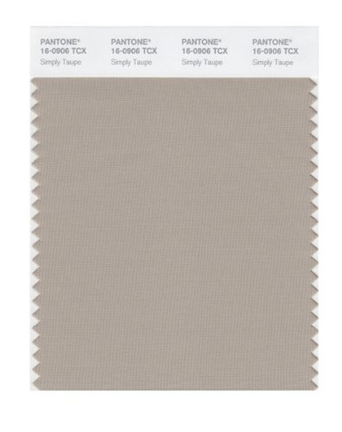 PANTONE Smart 16-0906X Color Swatch Card Simply Taupe - Warehousesoverstock