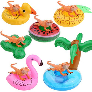 YUYUSO 6 Pack Bearded Dragon Lizard Bathe Float Bathtub Toy Enjoy The Bath Time with Bearded ...
