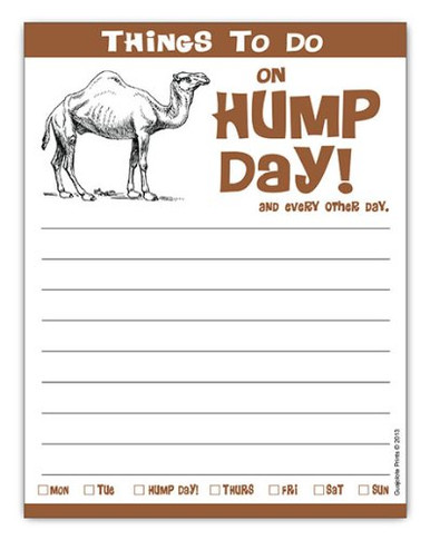 Things To Do on Hump Day, Funny Camel Notepad Gift Idea 4.25 x 5.5, 50 ...