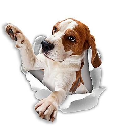 Winston & Bear 3D Dog Stickers - 2 Pack - Reaching Beagle Stickers for ...