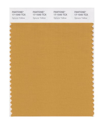 PANTONE SMART 17-1040X Color Swatch Card, Spruce Yellow ...