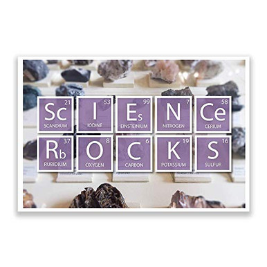 DHDM Designs Classroom Poster Science Rocks Unique Posters for ...