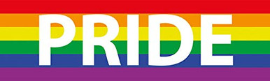 Pride Flag with Text - Pride Flag LBGTQ Bumper Sticker - Bumper Vinyl ...