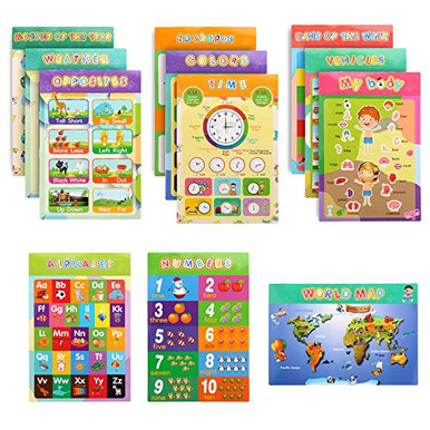 TOYMIS 12Pcs Educational Preschool Poster Chart Classroom Decorations ...