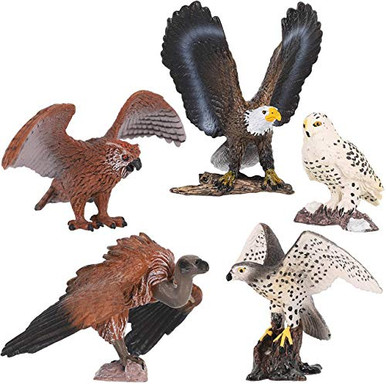 5 PCS Birds of Prey Figurines Plastic Realistic Animal Replica Models ...