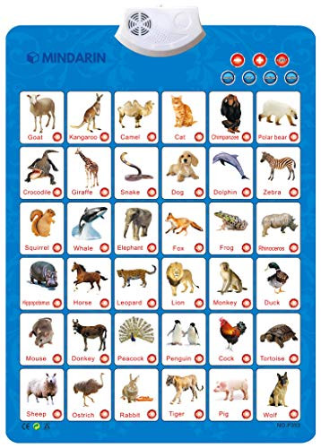 Mindarin Interactive Alphabetic Sound Chart Electronical Reading Wall ...