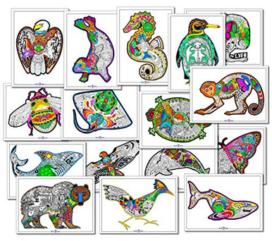 Inner Nature Coloring Poster Bundle - 16 Posters (Complete Set, All ...