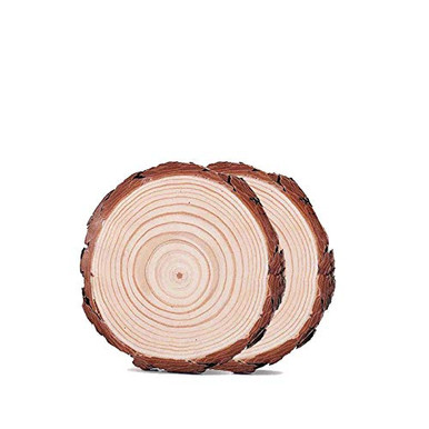 Unfinished Round Large Wood Tree Slices Basswood Plaque Slabs 2 Pcs 10 ...
