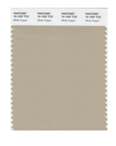 Pantone 15-1307 TCX Smart Color Swatch Card, White Pepper - Warehousesoverstock