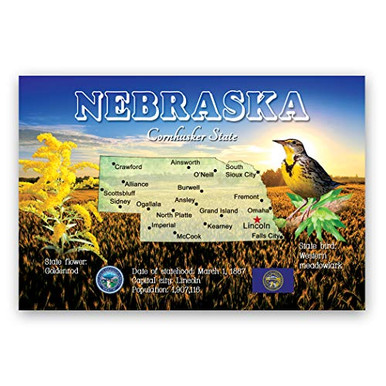NEBRASKA MAP postcard set of 20 identical postcards_ NE state map post ...