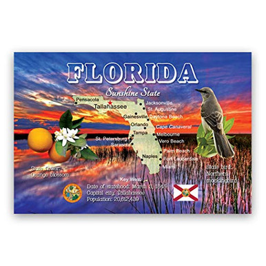 Florida MAP Postcard Set of 20 Identical Postcards_ FL State map Post ...