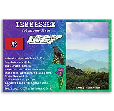 TENNESSEE STATE FACTS postcard set of 20 identical postcards_ Post ...