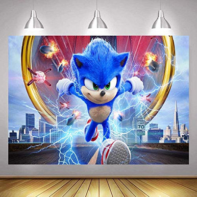 Sonic the Hedgehog Party Supplies Backdrop for Photography Sonic Theme ...