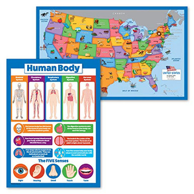 2 Pack - USA Map for Kids Illustrated plus Understanding The Human Body ...