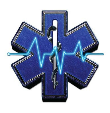 EMS - 3inch Vinyl Sticker - For Car Laptop I-Pad Phone Helmet Hard Hat ...