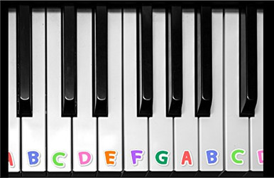 Piano key sticker decal - Colorful alphabet key set - violin electric ...