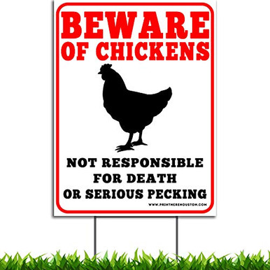 VIBE INK Beware of Chickens Warning Sign 9inch x 12inch Serious Pecking ...
