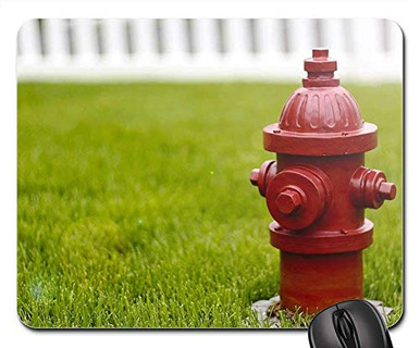 SHAQ Dog Fire Hydrant Red Hydrant Pee Outdoors Grass Mouse pad 8.7inch ...